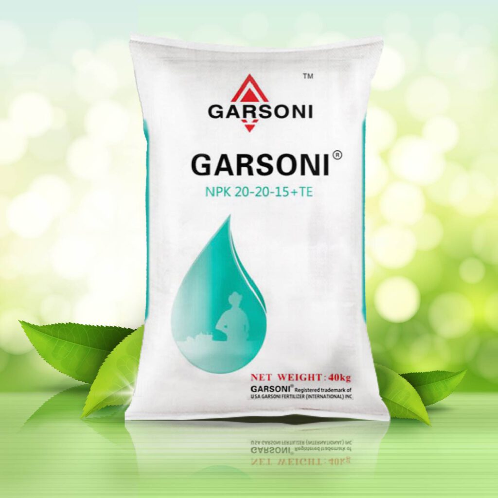 Garsoni NPK 20-20-15+TE phân bón cao cấp dựa trên công nghệ Mỹ