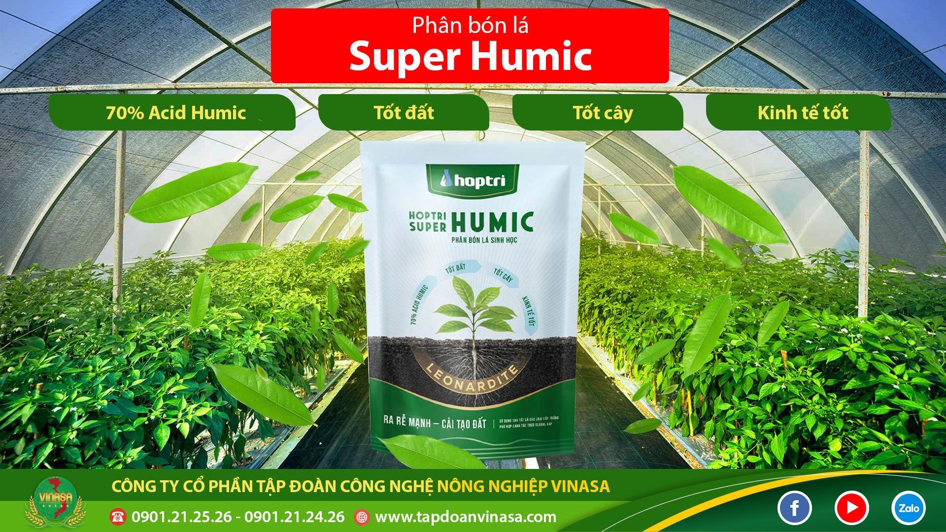 kích thích cho bộ rễ phát triển tối ưu với sản phẩm Hợp Trí Super Humic