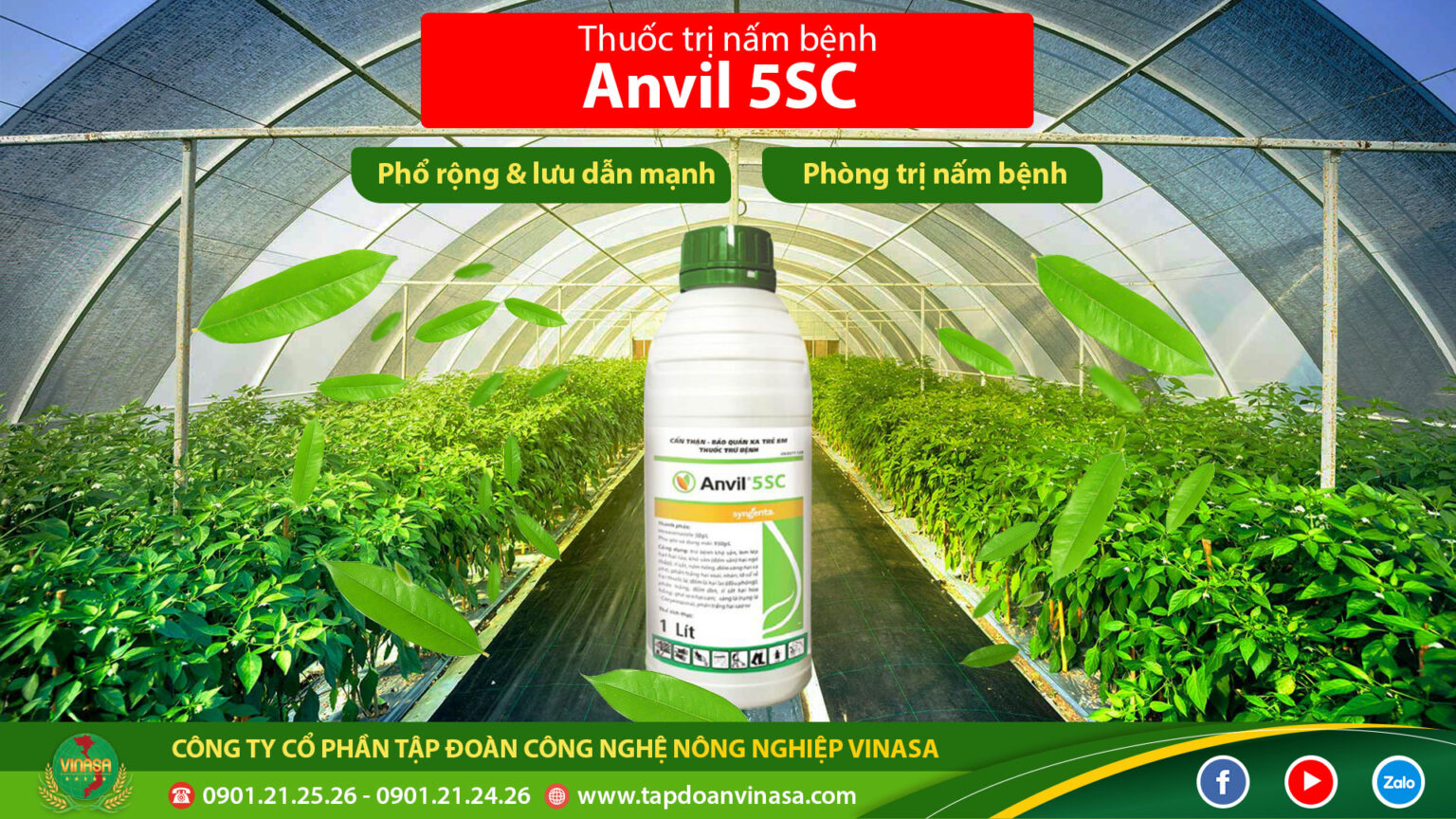 Thuốc trừ bệnh Anvil 5SC-chuyên tiêu diệt nấm bệnh cho tất cả cây trồng