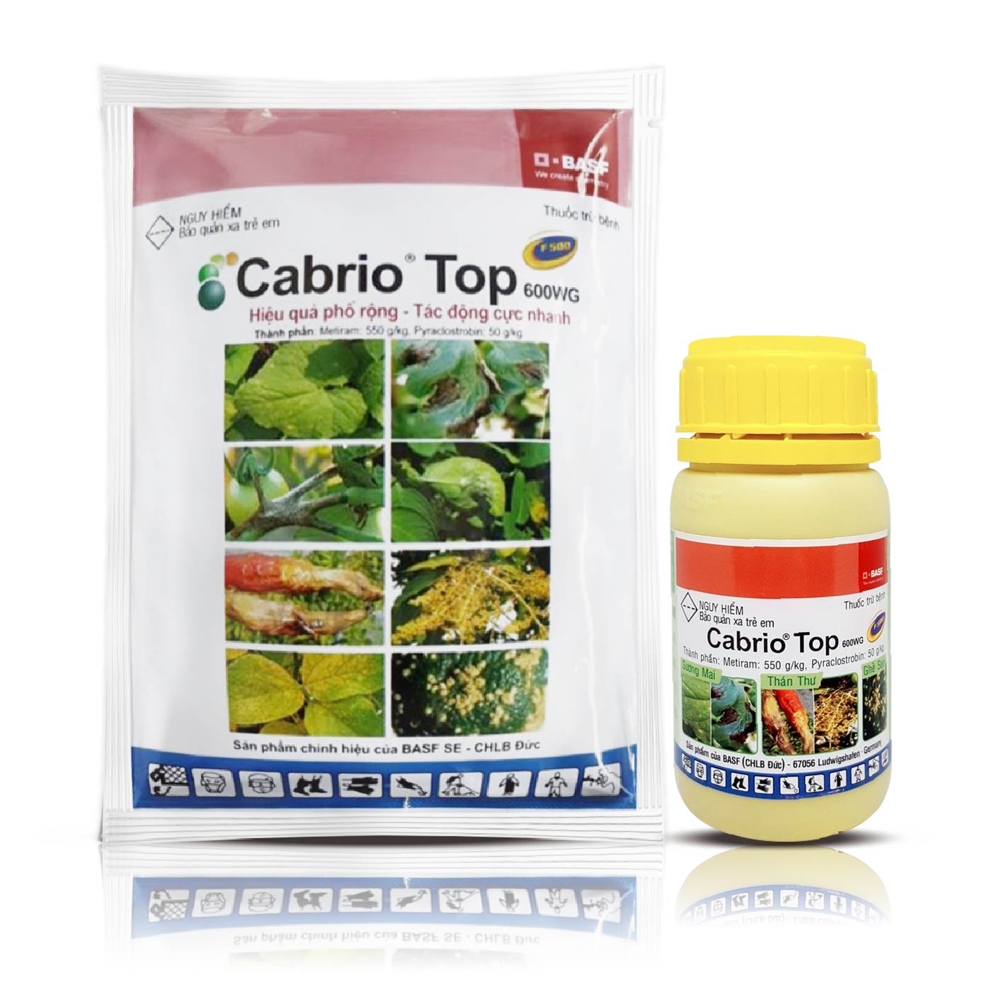 Cabrio Top 600WG - Đặc trị nấm bệnh cho cây trồng