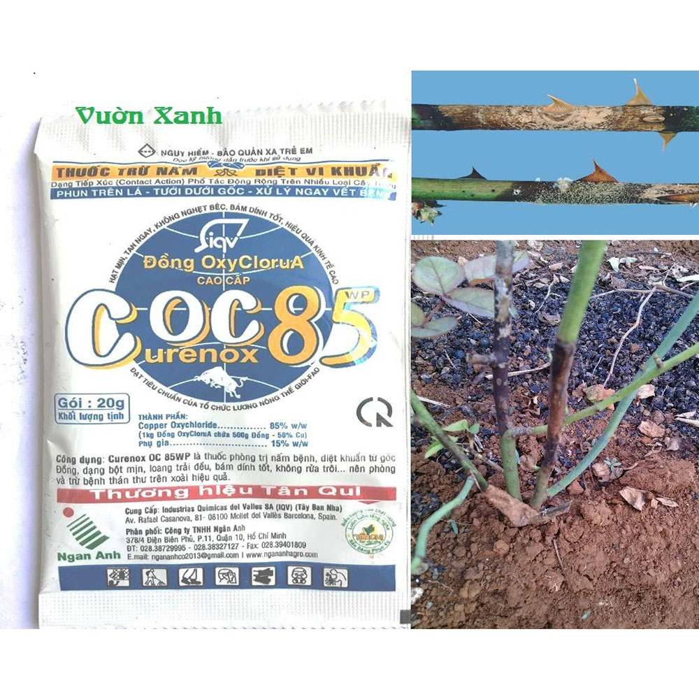 COC 85 WP thuốc trị nấm bệnh cao cấp • Vinasa Agri Tech J.S.C