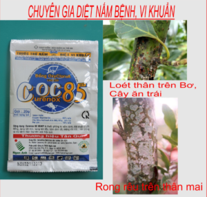 COC 85 WP thuốc trị nấm bệnh cao cấp • Vinasa Agri Tech J.S.C