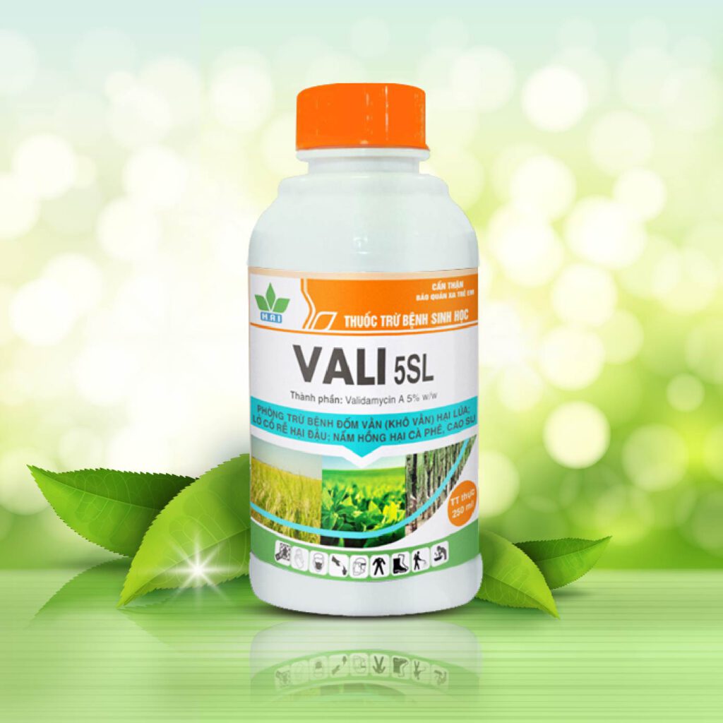 Thuốc trừ bệnh Vali 5SL - Đặc trị nấm bệnh hiệu quả