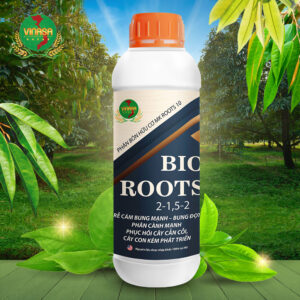 Phân bón BIO ROOTS chất lượng hiệu quả • Vinasa Agri Tech J.S.C