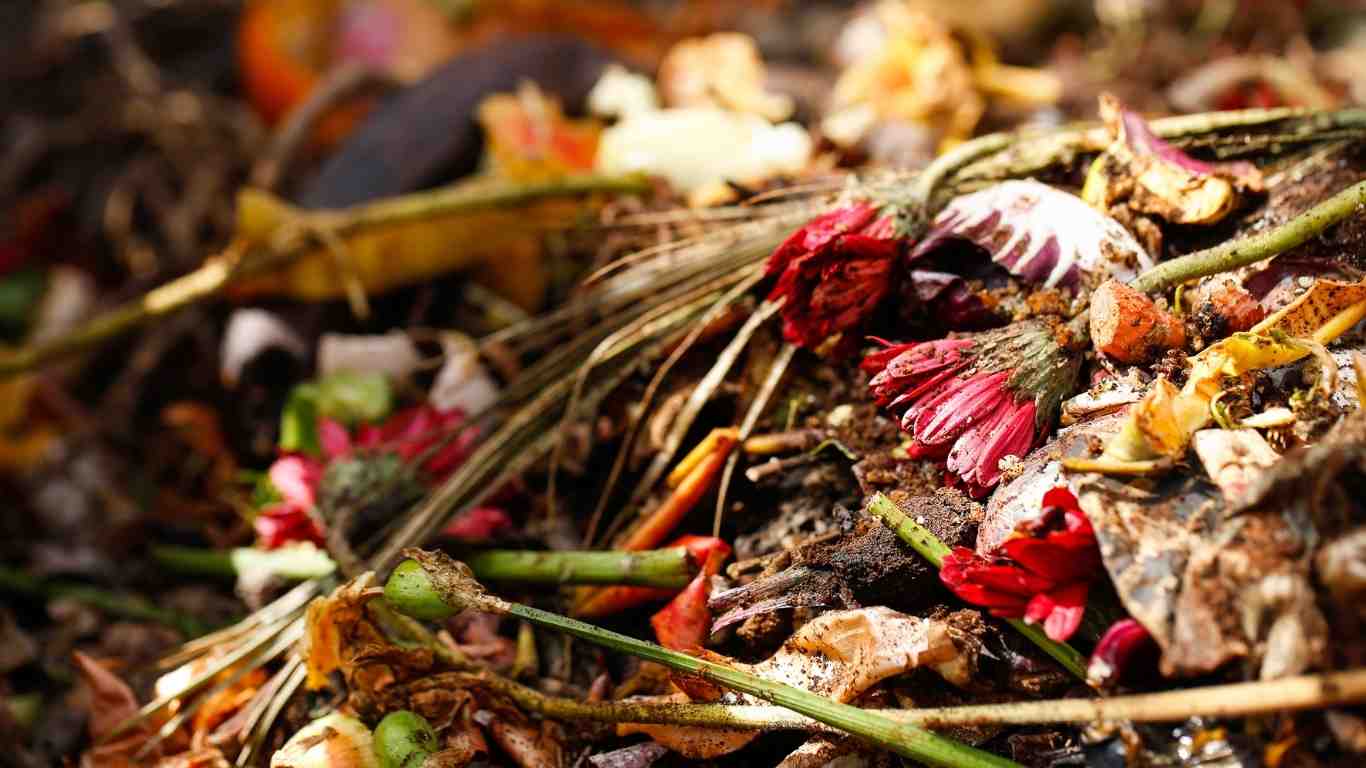 Phân bón hữu cơ sinh học: Định nghĩa, phân loại và cách sử dụng hiệu ...