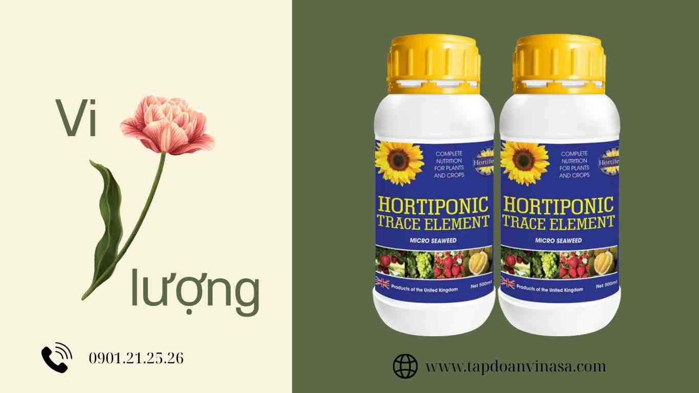 Phân Bón Lá Vi Lượng Là Gì? Phân Loại & Cách Dùng Hiệu Quả • Vinasa ...