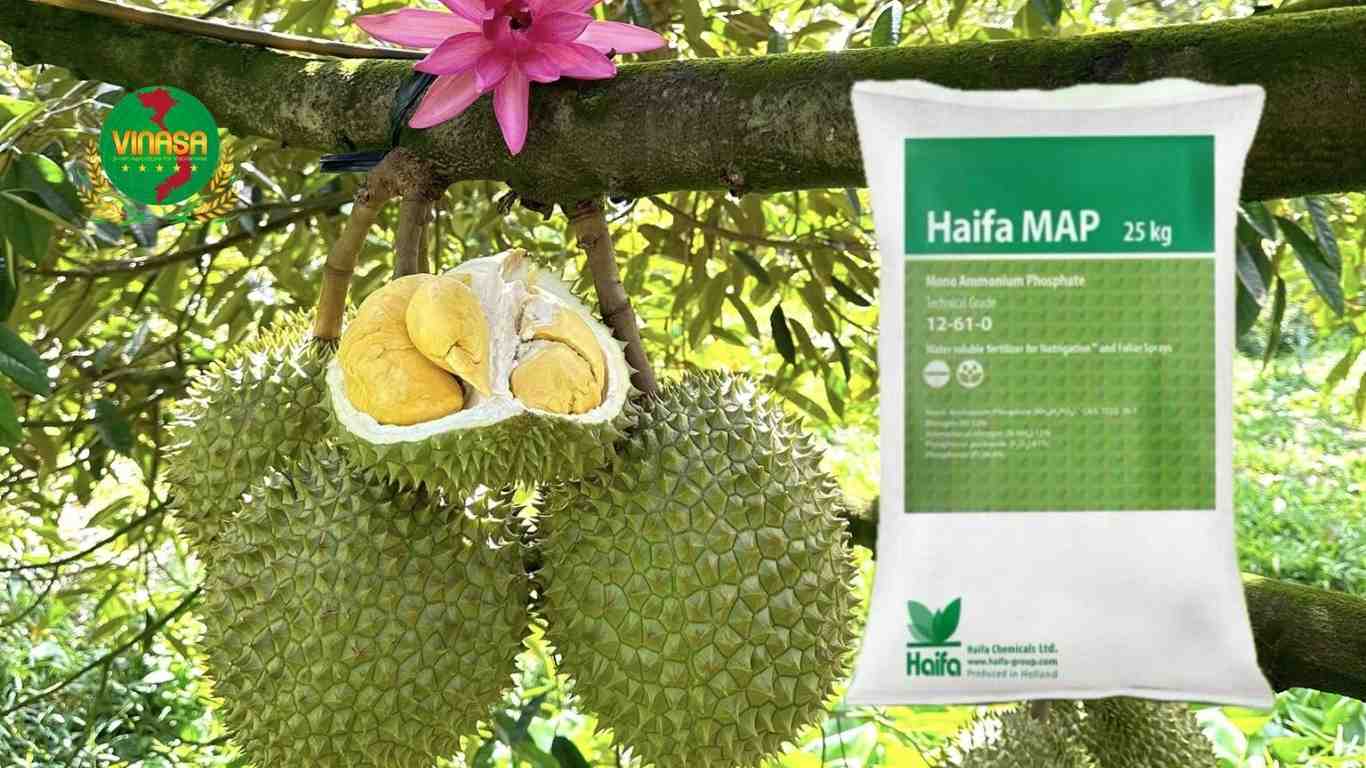 Phân bón MAP Isreal – Haifa có tốt không? • Vinasa Agri Tech J.S.C