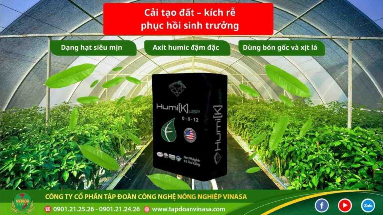 Diamond Grow Humi K Power – Humic Mỹ Bao 25kg • Vinasa Agri Tech J.S.C
